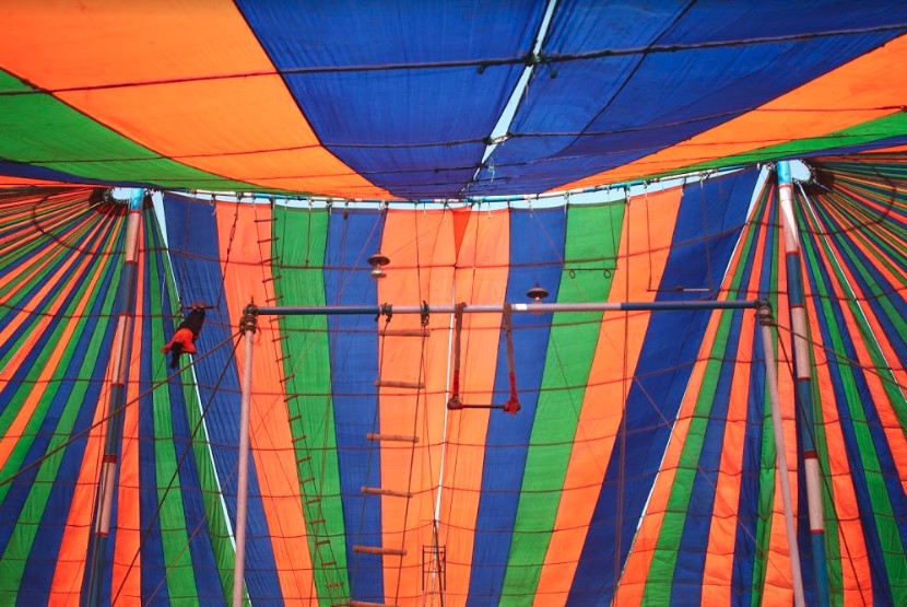 Traditional Circus - Ziaul Haque Oisharjh